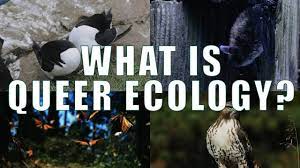 What is Queer Ecology: Is Nature Queer? – Making Sociology Matter